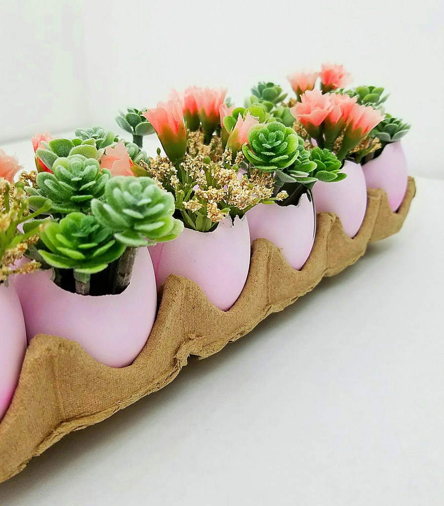 Eggshell Mini Garden – Wonderful Creations
