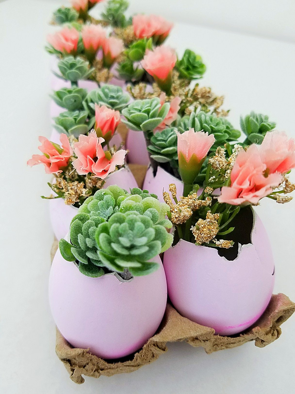 Eggshell Mini Garden – Wonderful Creations