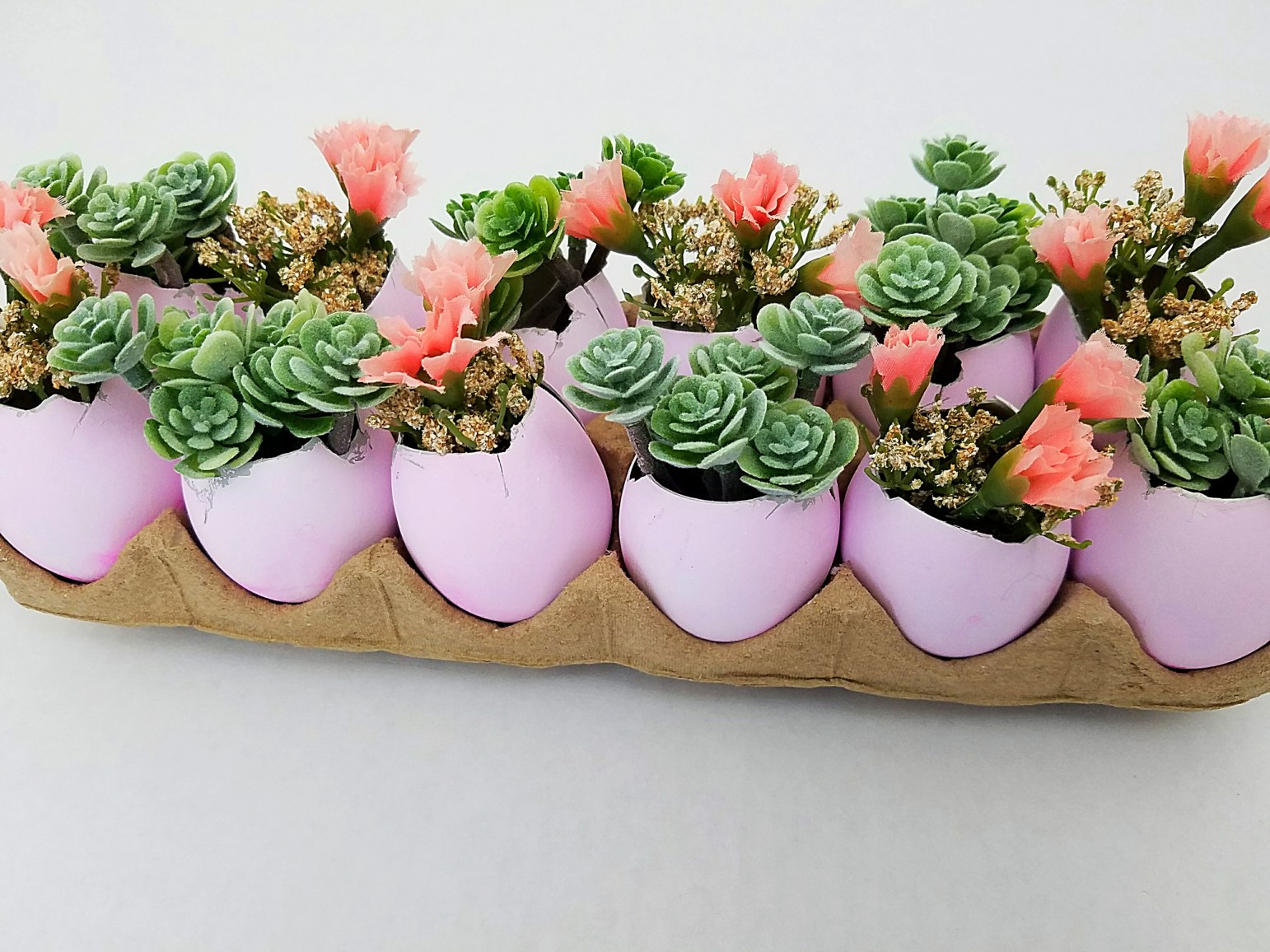 Eggshell Mini Garden – Wonderful Creations