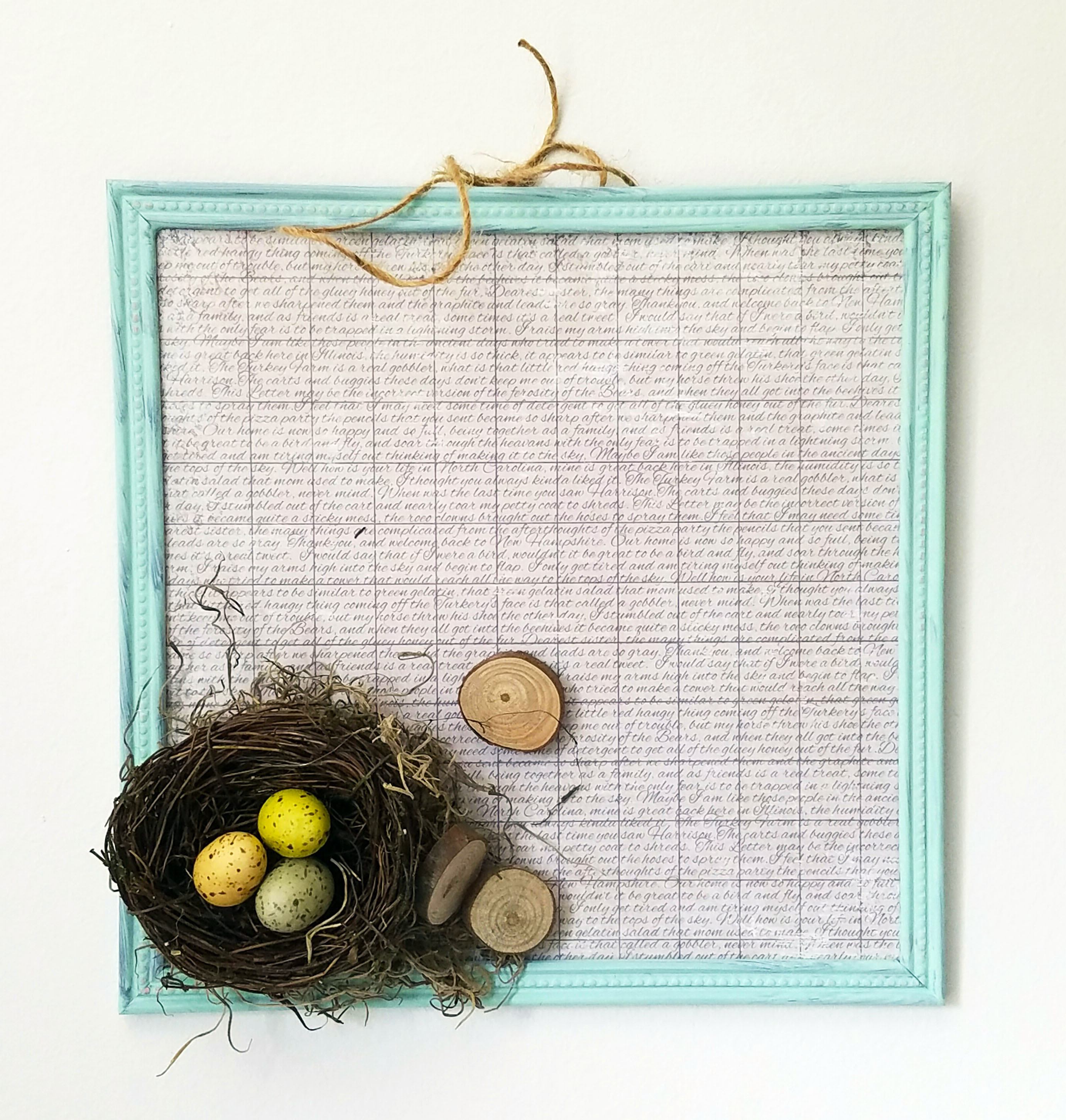 Bird’s Nest Picture Frame – Wonderful Creations